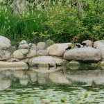 Xichuan Park by Horizon & Atmosphere Landscape - 谷德设计网