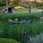 Xichuan Park by Horizon & Atmosphere Landscape - 谷德设计网