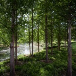 Xichuan Park by Horizon & Atmosphere Landscape - 谷德设计网