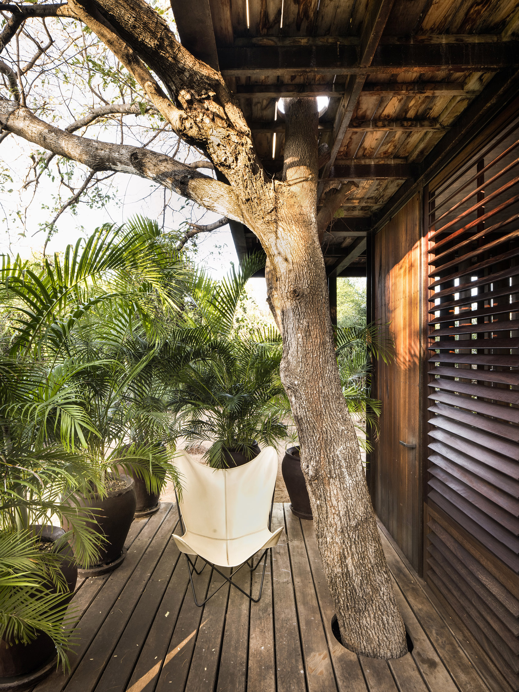 Falcon House by PAT. architetti associati - 谷德设计网