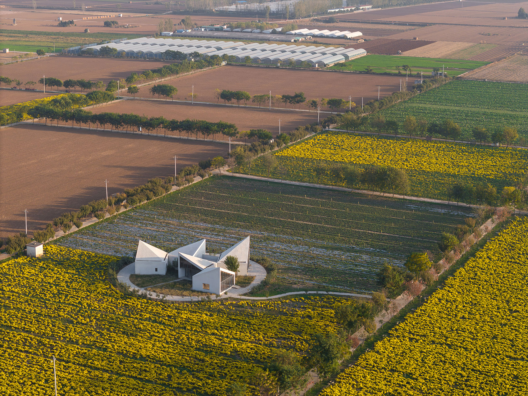 The Library In Ice-Chrysanthemum Field, China by ATELIER XI - 谷德设计网