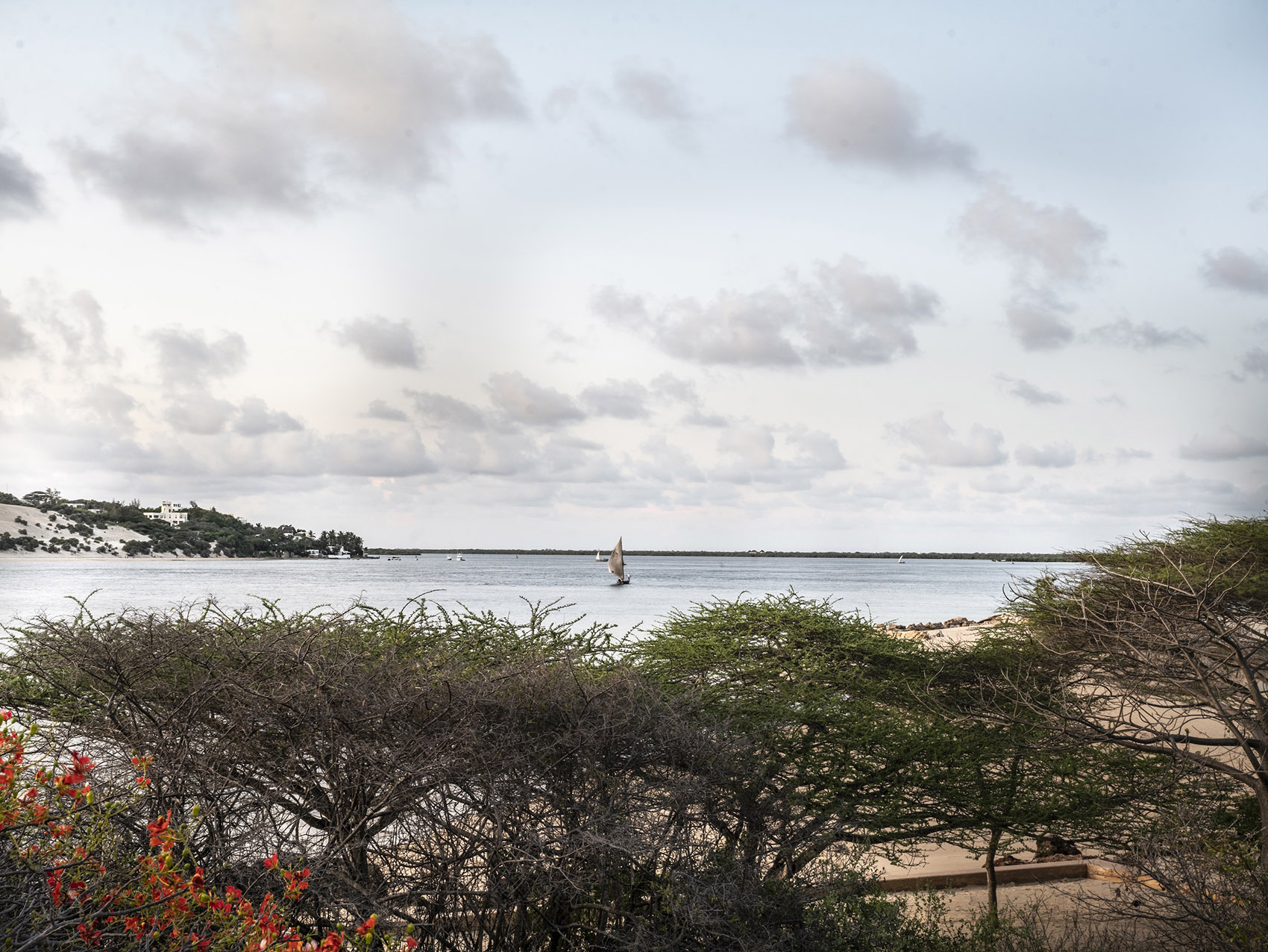 Falcon House by PAT. architetti associati - 谷德设计网