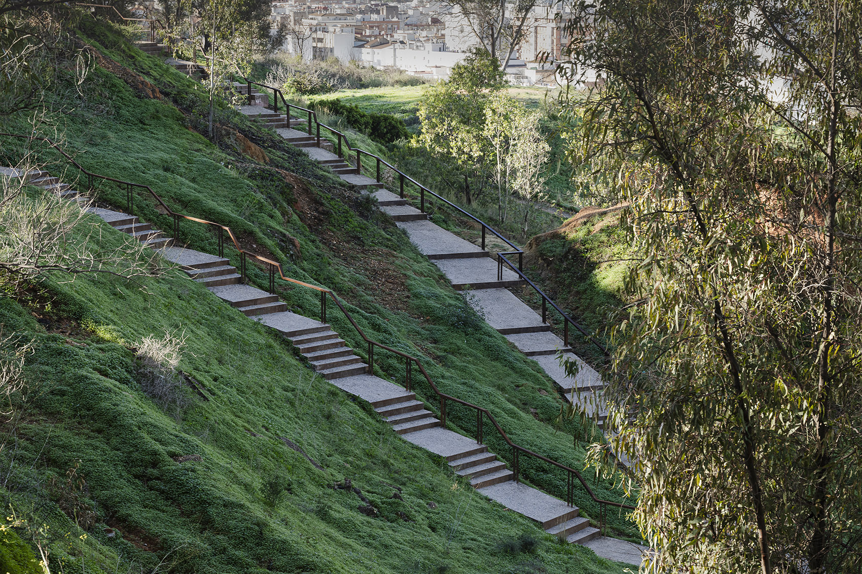 Landscape adaptation on the Cornice and slopes of El Conquero by M. Luz ...