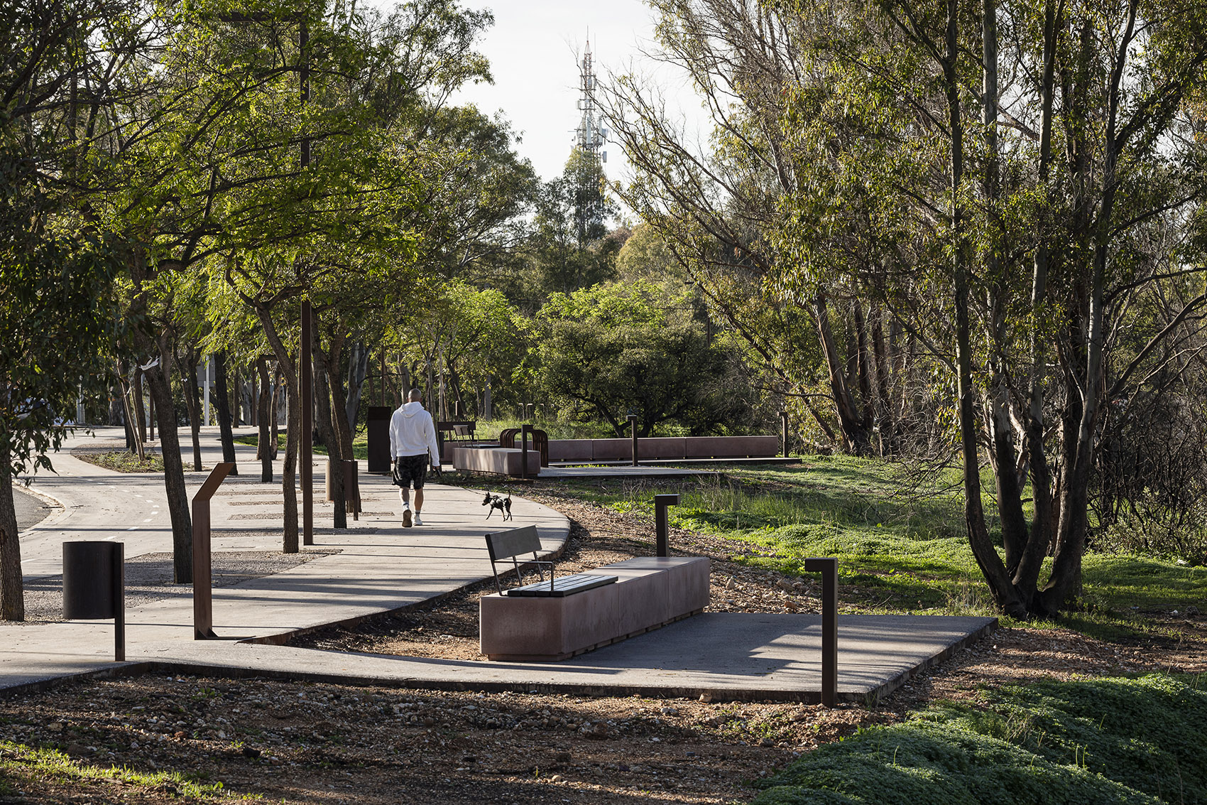 Landscape adaptation on the Cornice and slopes of El Conquero by M. Luz ...