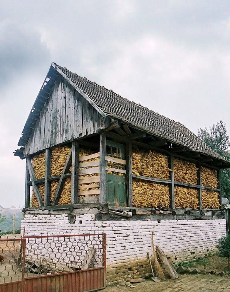 Black Slavonian eco pig farm by SKROZd.o.o. - 谷德设计网