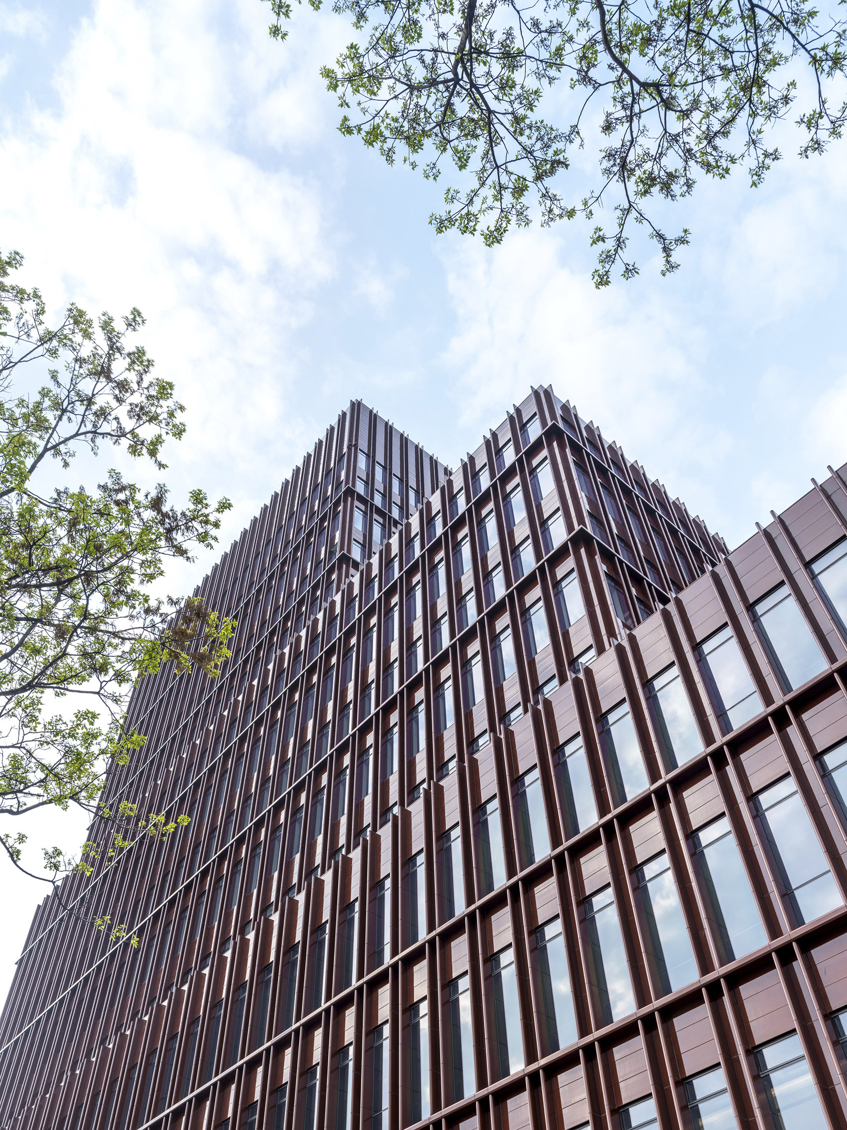 Dingbo Expo Riverside by David Chipperfield Architects - 谷德设计网