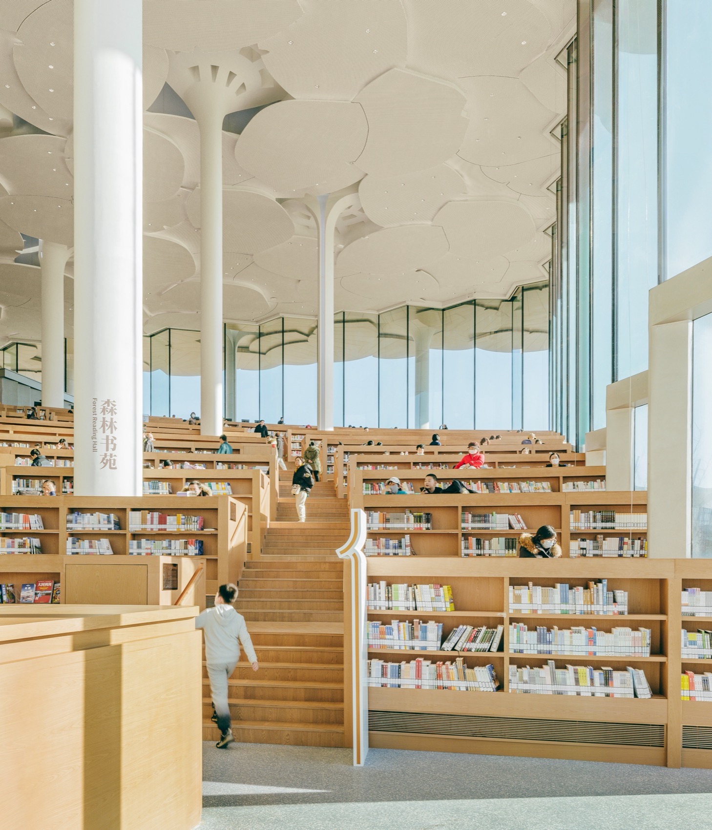 Beijing City Library by Snøhetta - 谷德设计网