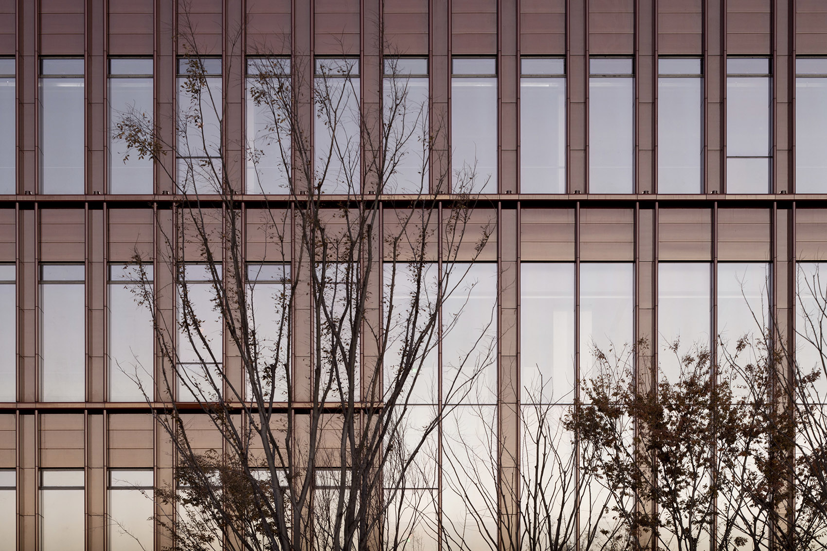 Dingbo Expo Riverside by David Chipperfield Architects - 谷德设计网