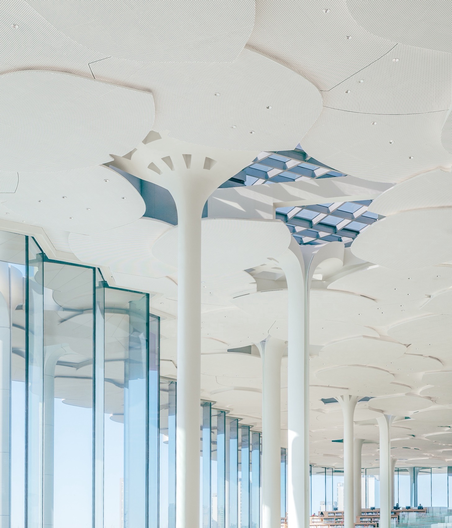 Beijing City Library by Snøhetta - 谷德设计网