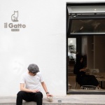il gatto coffee by ZHZ studio - 谷德设计网