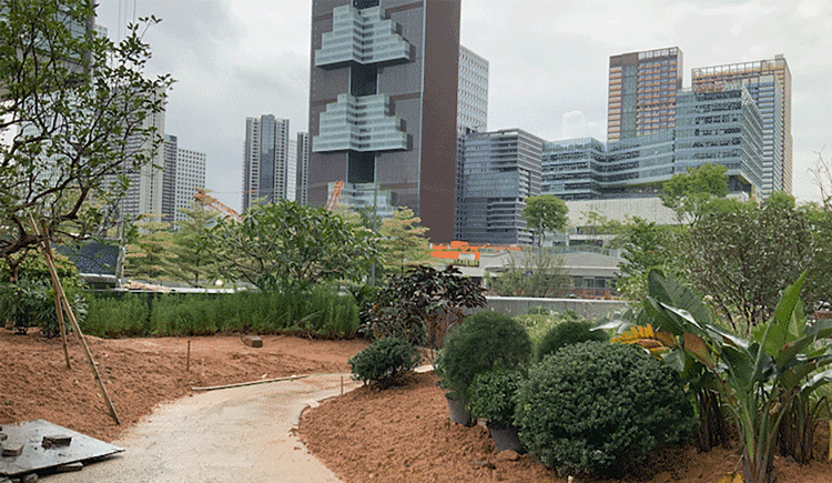 DJI Sky City Landscape Design by W&B Design - 谷德设计网