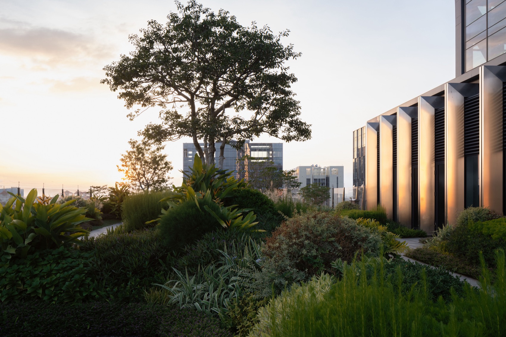 DJI Sky City Landscape Design by W&B Design - 谷德设计网