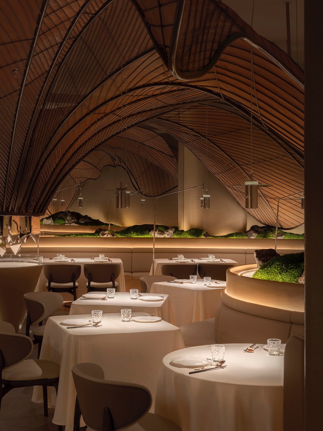 tang talk by Jingle Design - 谷德设计网