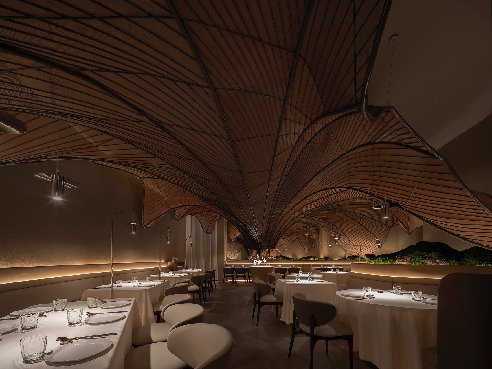 tang talk by Jingle Design - 谷德设计网