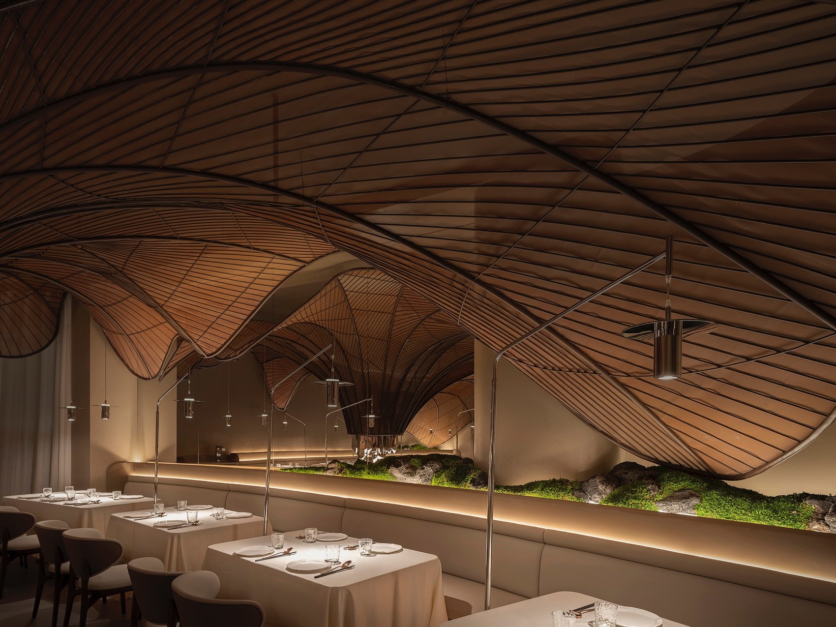 tang talk by Jingle Design - 谷德设计网