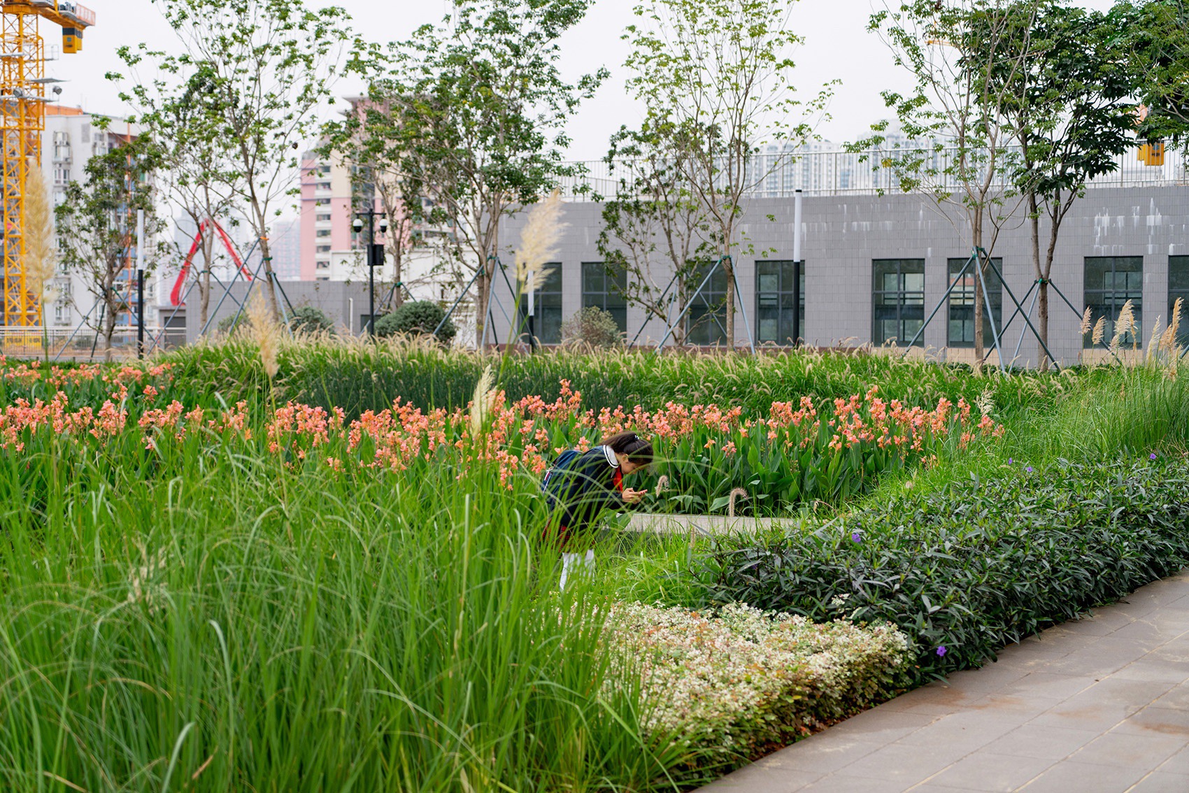 Buji Water Park by Hope Design - 谷德设计网