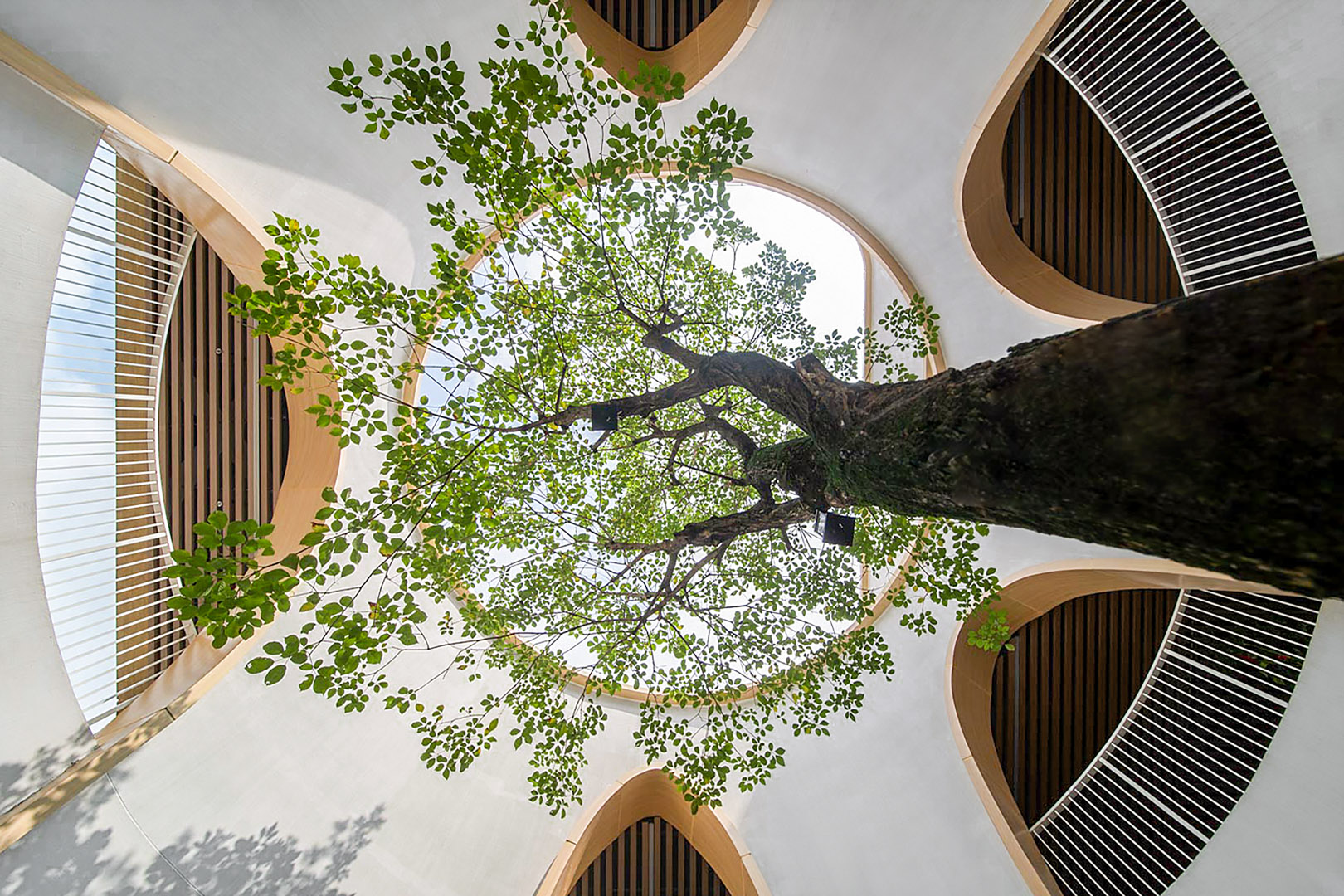 Haihua Kindergarten by KEEP DREAM INTERIOR DESIGN - 谷德设计网