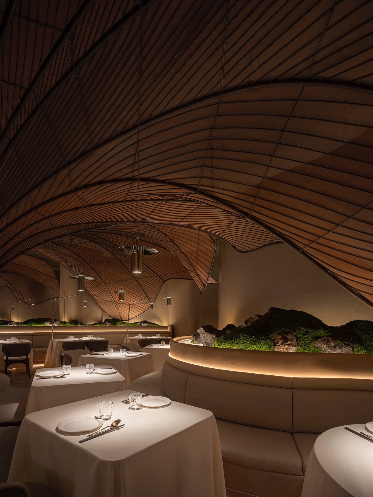 tang talk by Jingle Design - 谷德设计网