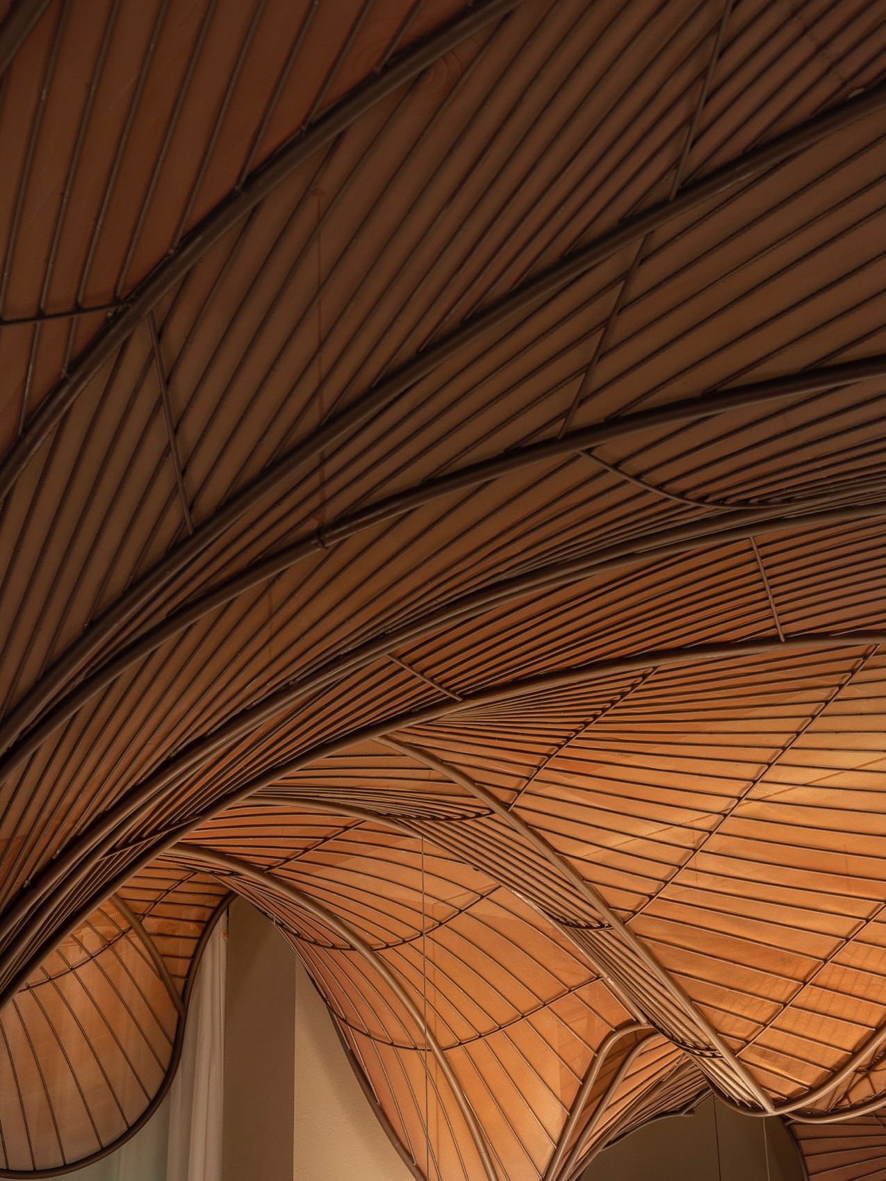 tang talk by Jingle Design - 谷德设计网