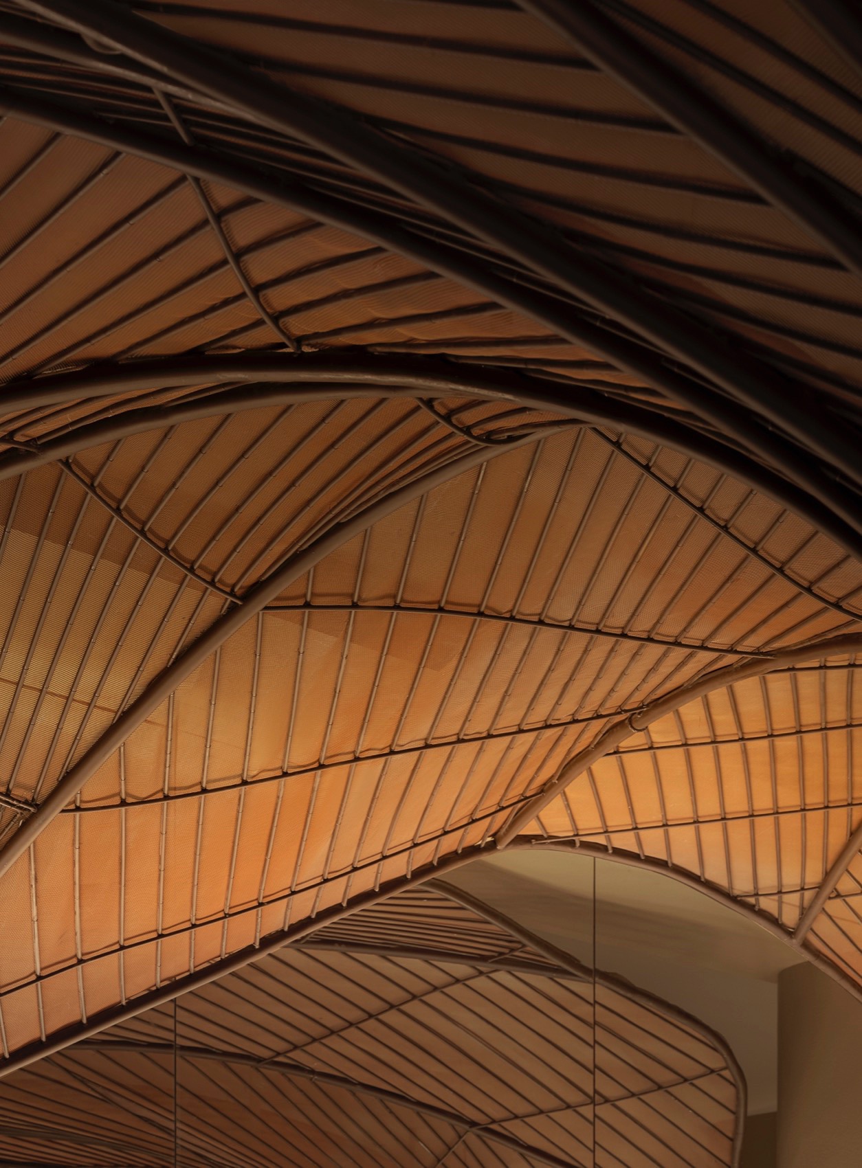 tang talk by Jingle Design - 谷德设计网