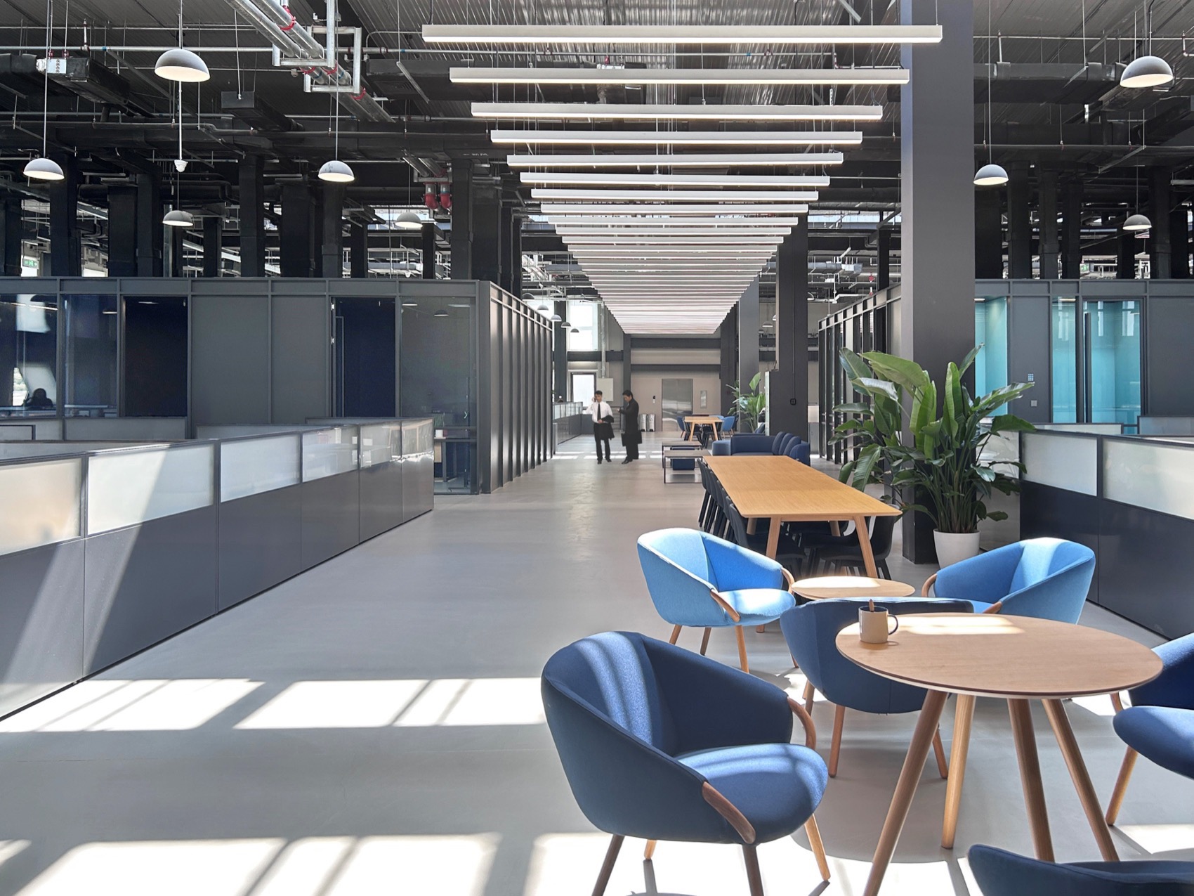 Synaptic Medical Cardiac Electrophysiology Factory by way design - 谷德设计网