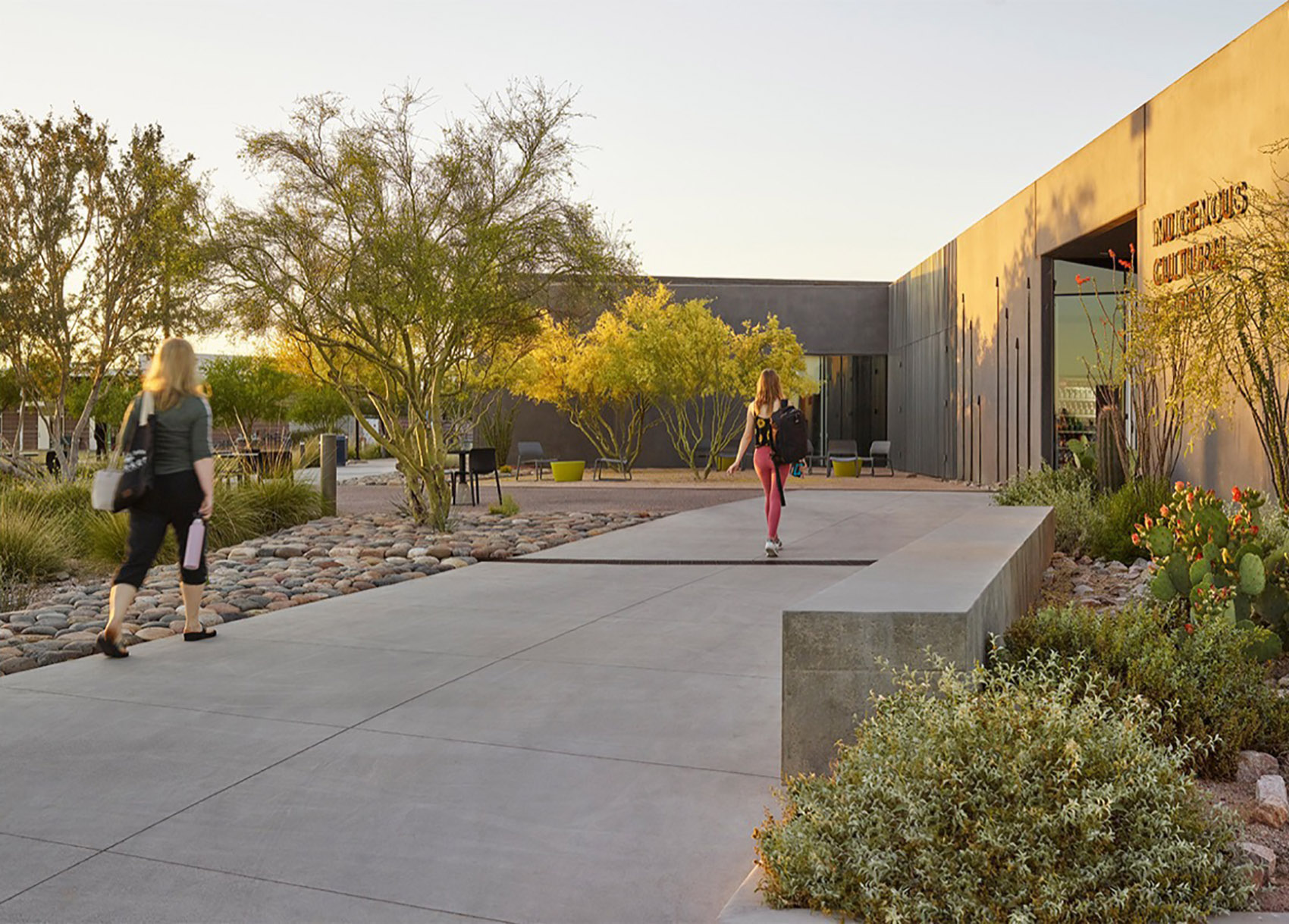 2023 ASLA通用设计类荣誉奖：云之歌 – SCC商学院 + 本土文化中心 / COLWELL SHELOR LANDSCAPE ...