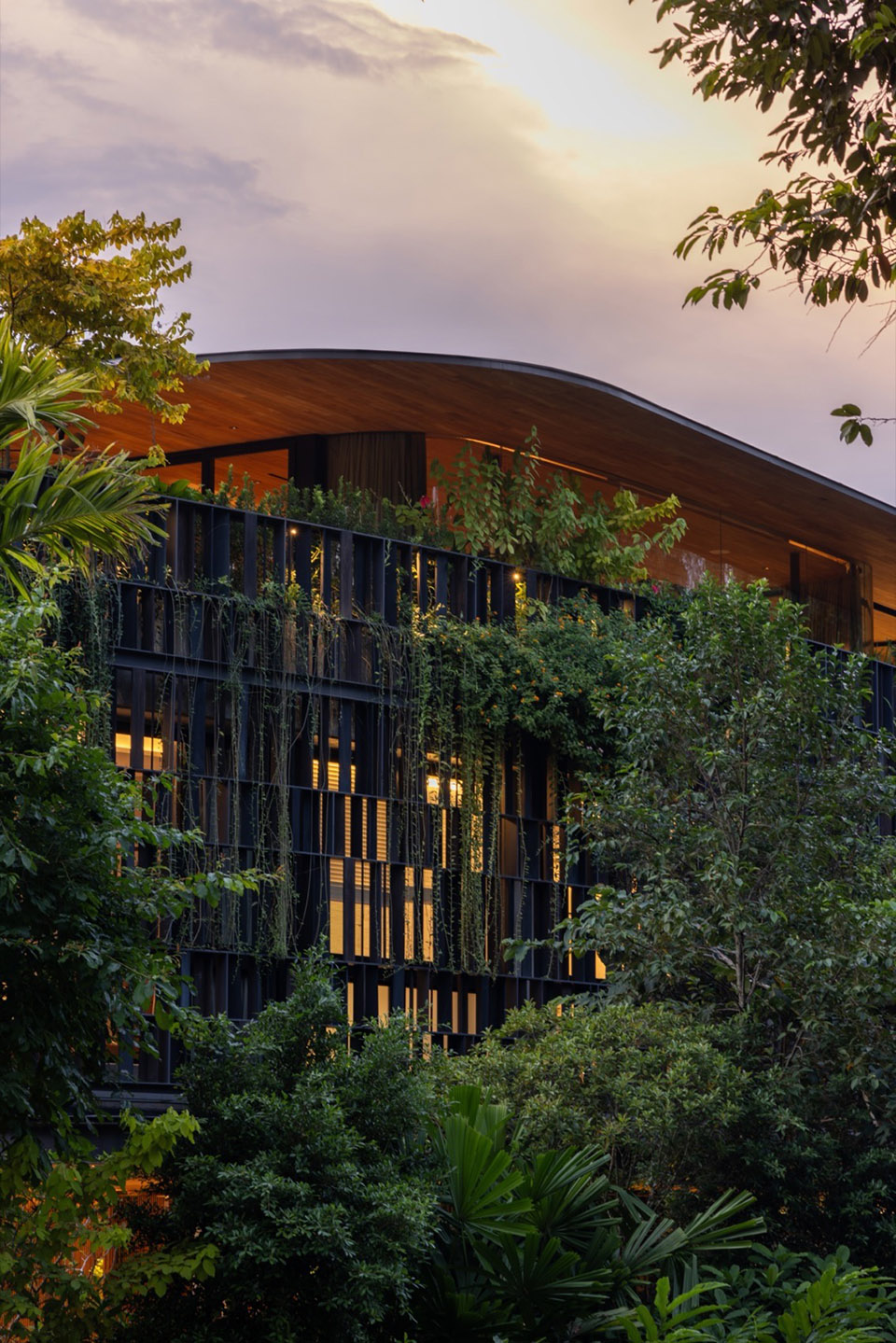 Touching Eden House by Wallflower Architecture + Design - 谷德设计网