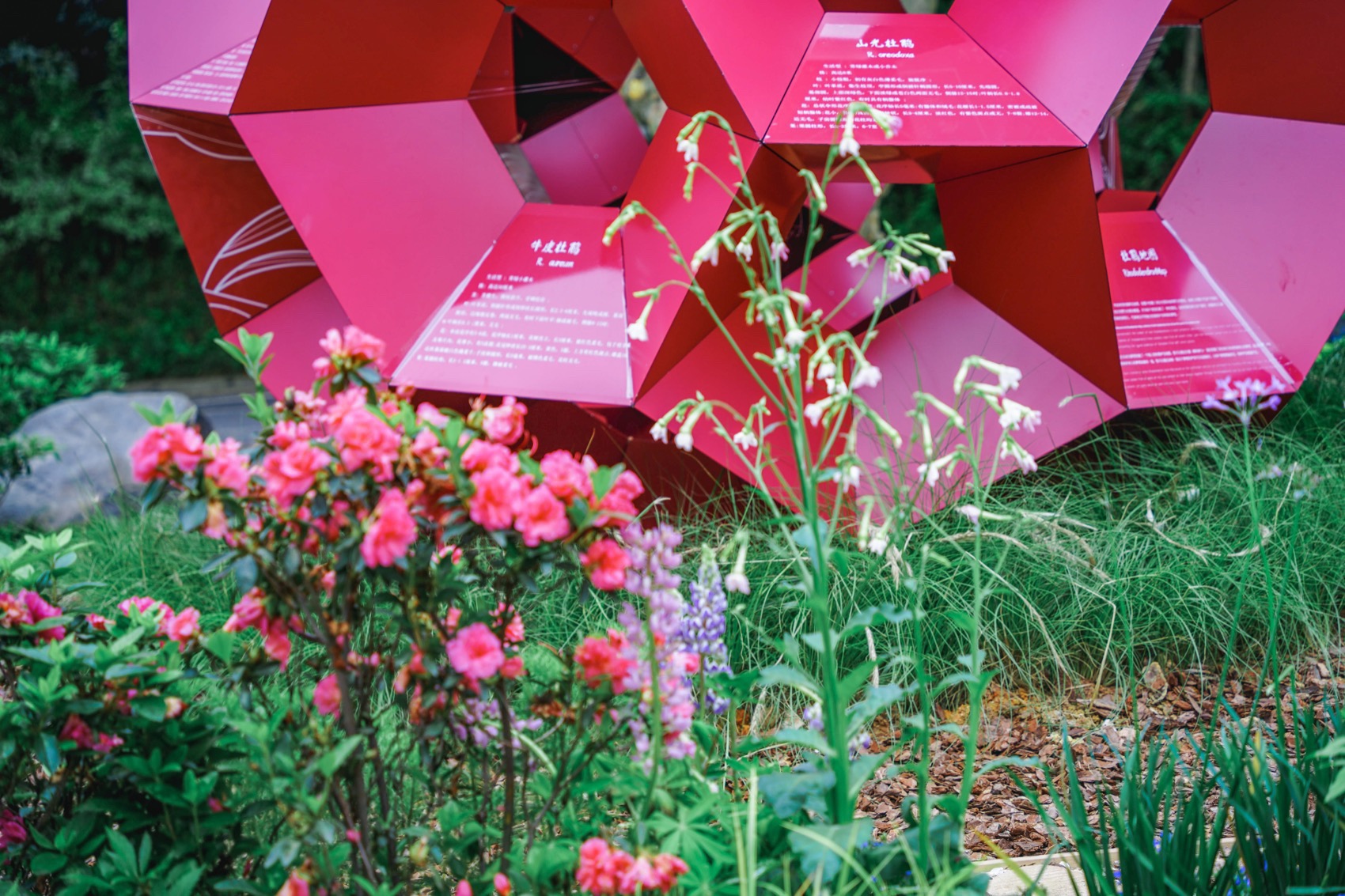 Interactive Audio-Visual Garden, Shenzhen by School of Architecture ...