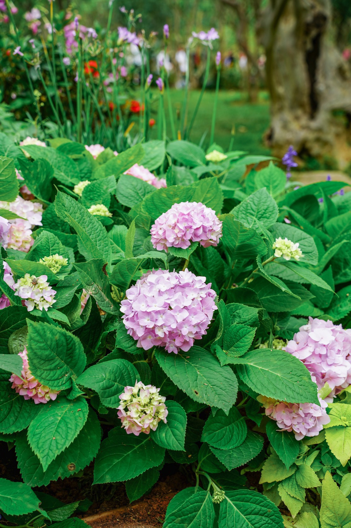 Interactive Audio-Visual Garden, Shenzhen by School of Architecture ...