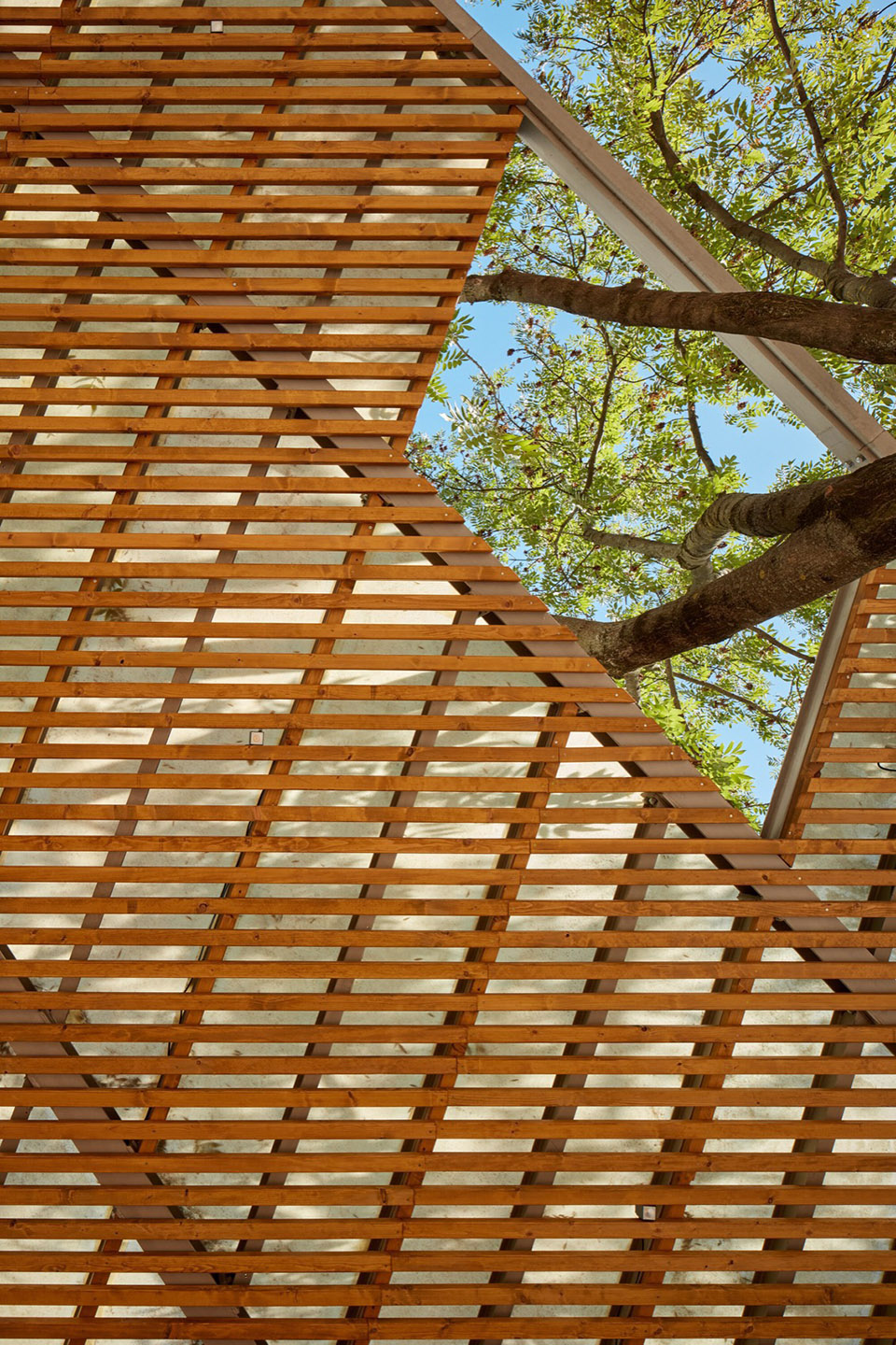 The Moravian Square Park Revitalisation by Consequence forma architects ...