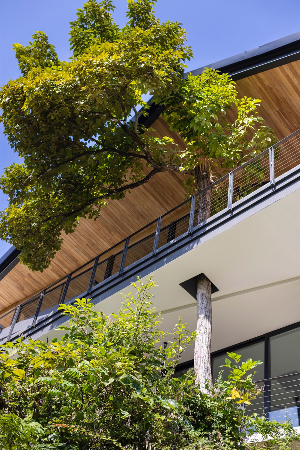 Makai Villas by Studio Saxe - 谷德设计网