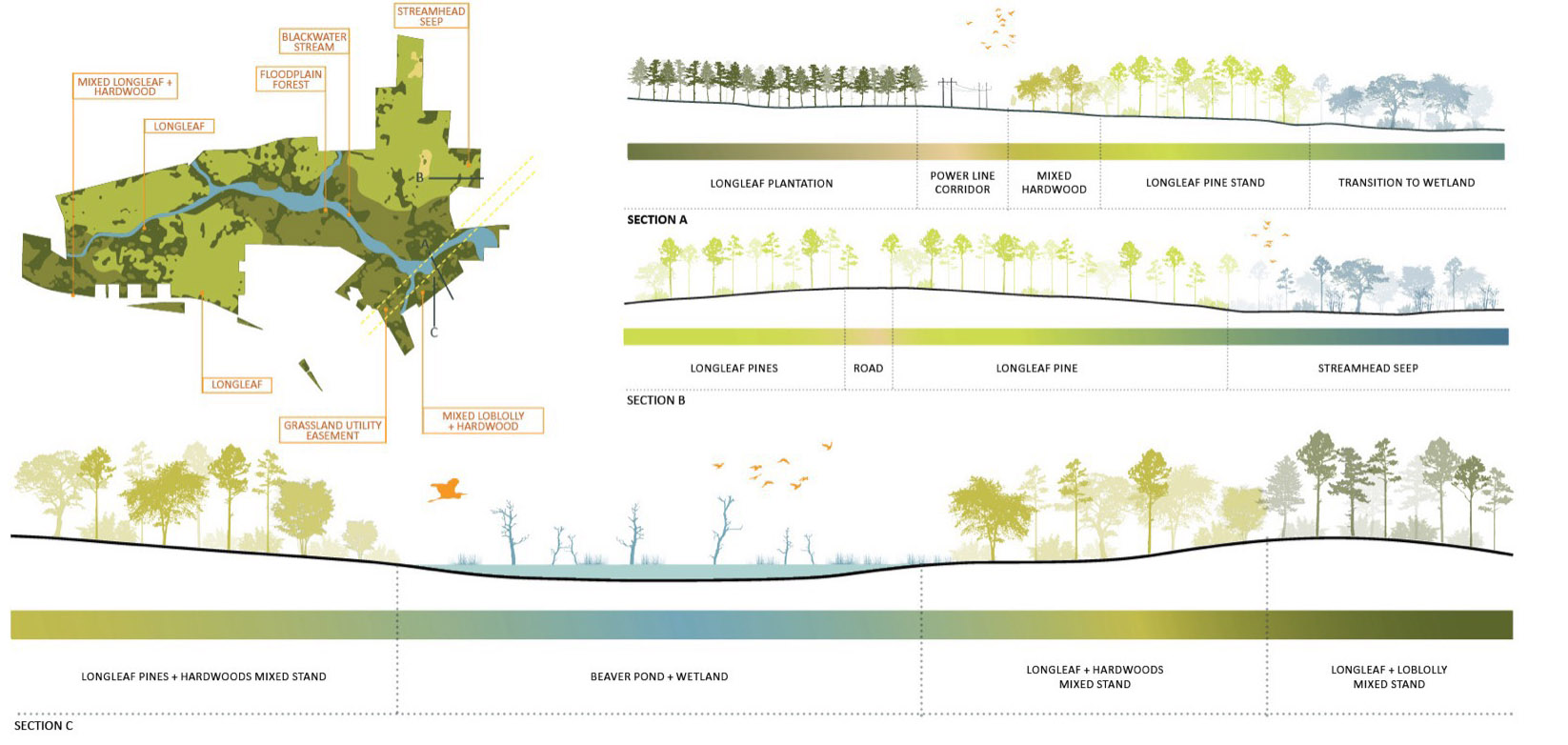 2023 ASLA ANALYSIS AND PLANNING AWARD OF HONOR: Nicks Creek Longleaf ...