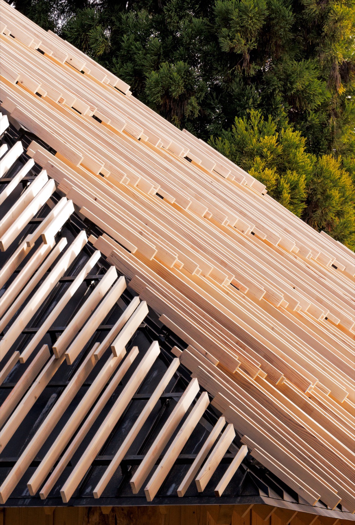 Aoi Aso Shrine, National Treasure Memorial Hall by Kengo Kuma and ...