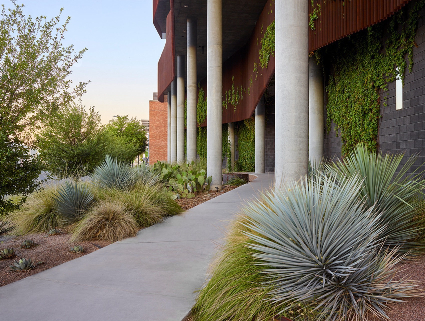 2023 ASLA GENERAL DESIGN AWARD OF HONOR: University of Arizona ...
