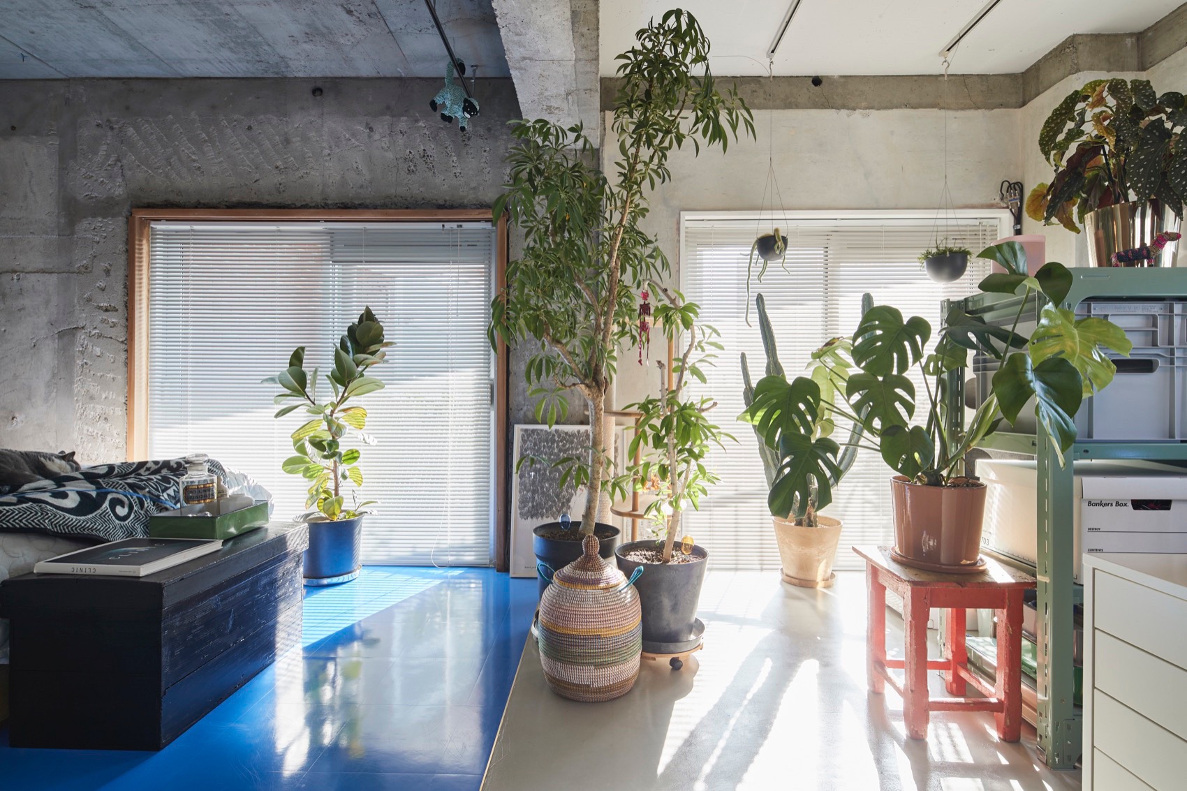 Tokyo Blue Apartment by Roovice - 谷德设计网