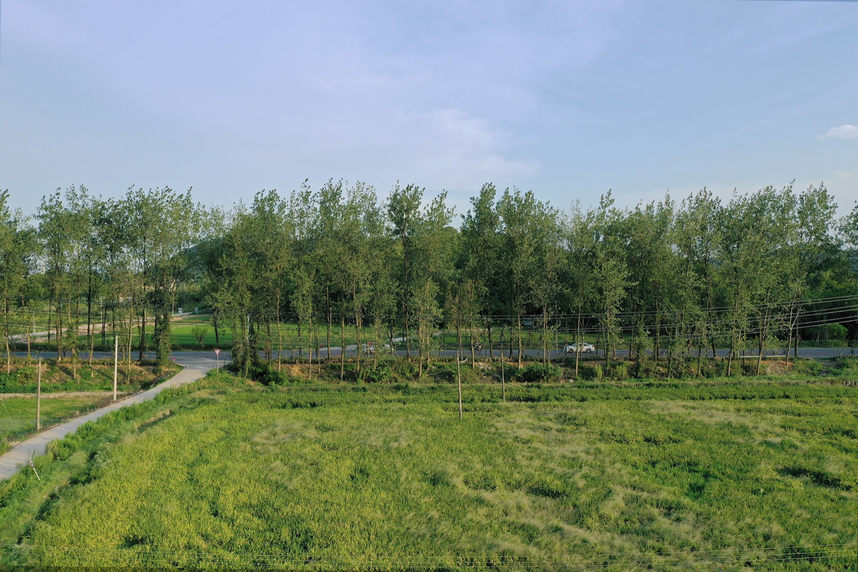 Square Courtyard Lab by ConCom Studio - 谷德设计网