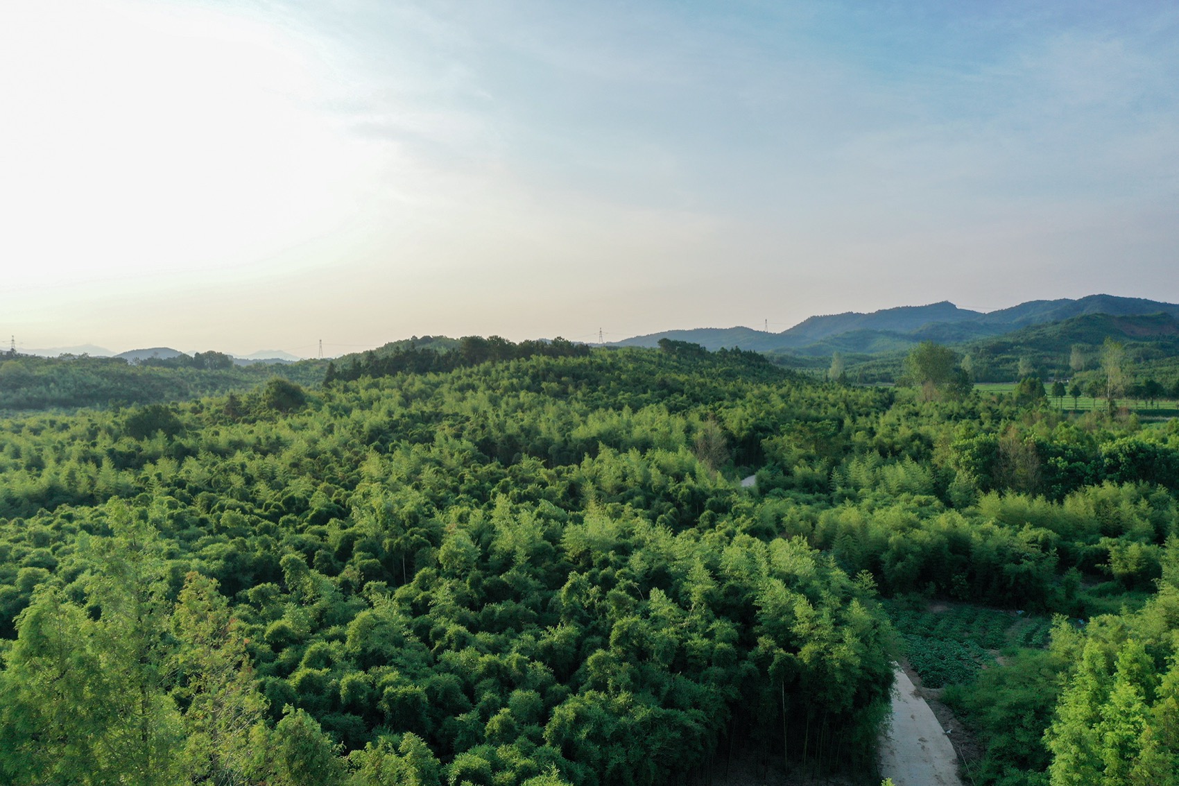 Square Courtyard Lab by ConCom Studio - 谷德设计网