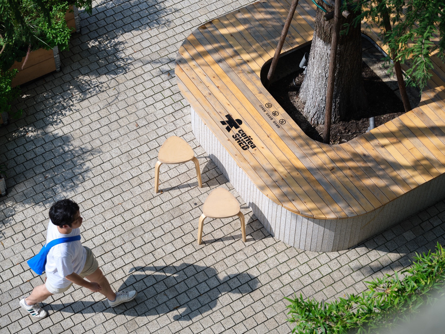 coffea SHED Columbia Circle Store by kooo architects - 谷德设计网