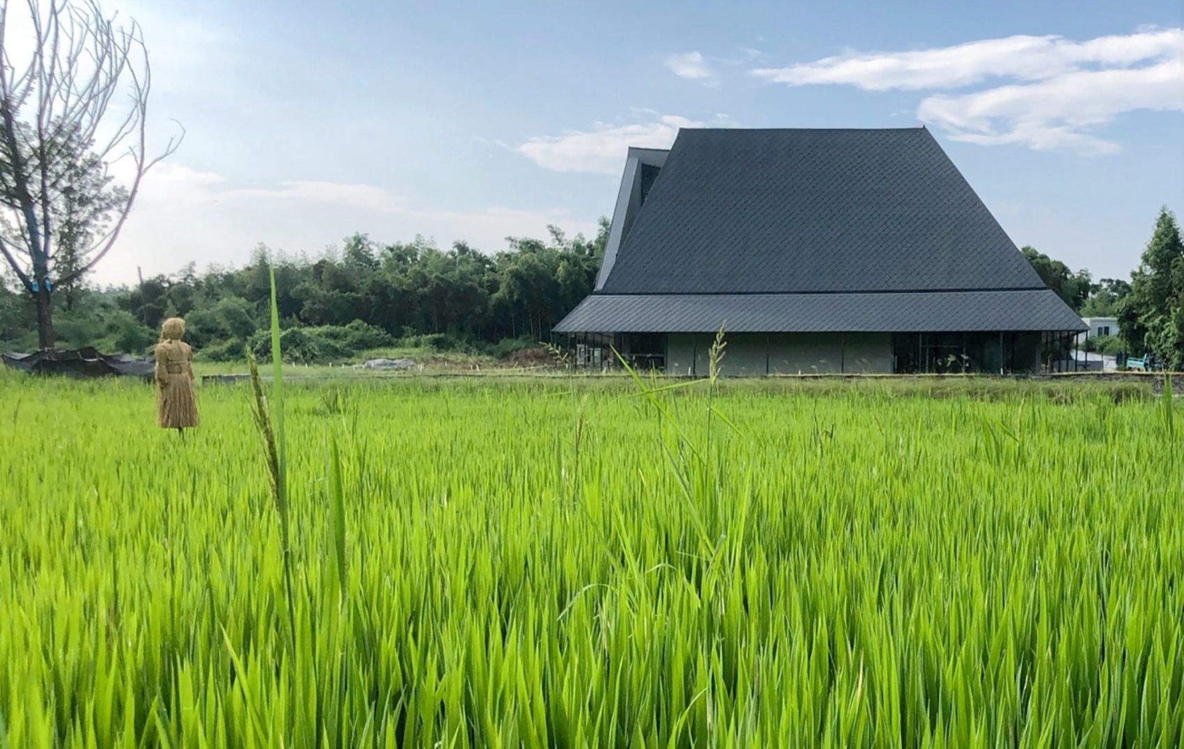 Square Courtyard Lab by ConCom Studio - 谷德设计网