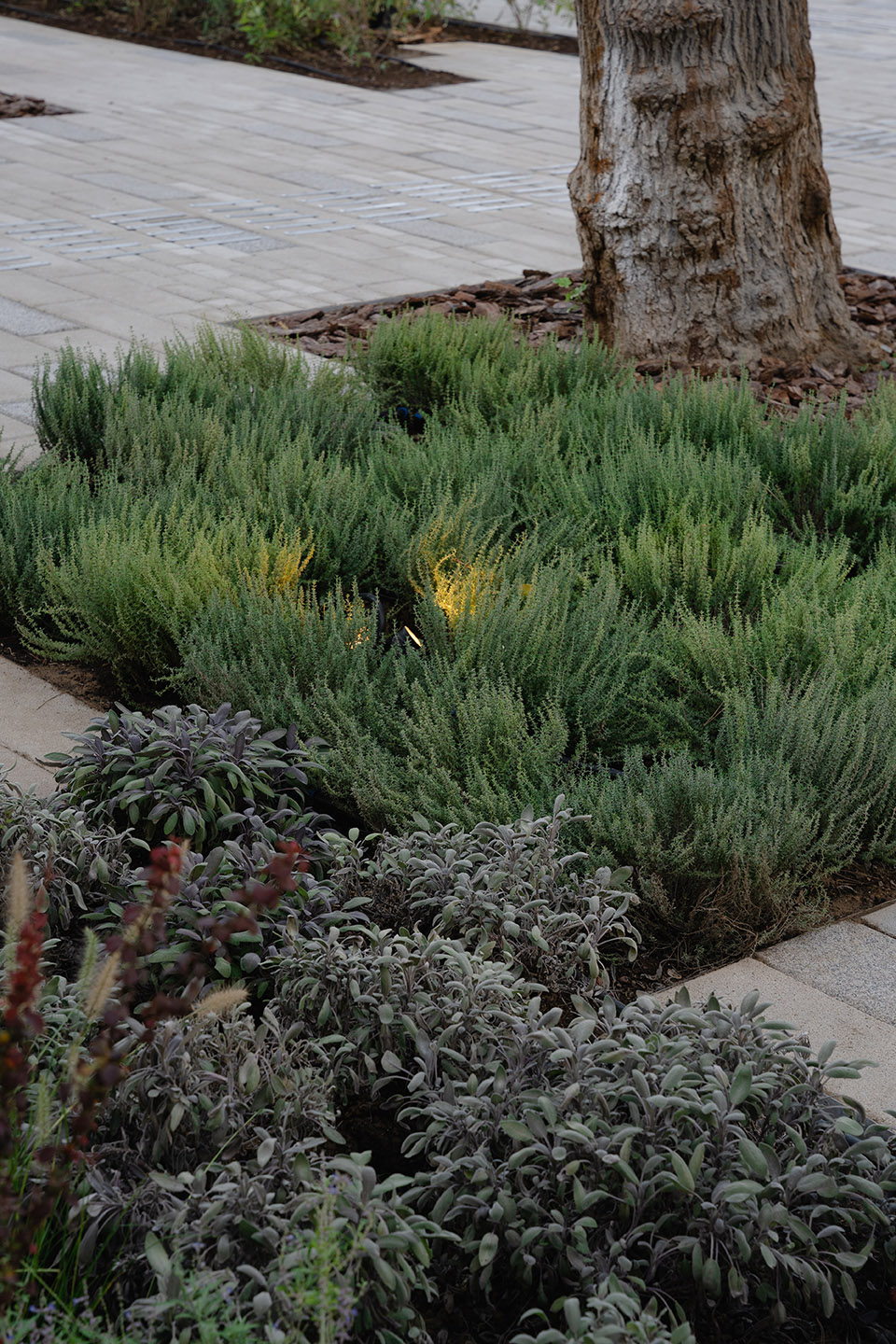 Republican Children’s Library by ludi_achitects - 谷德设计网