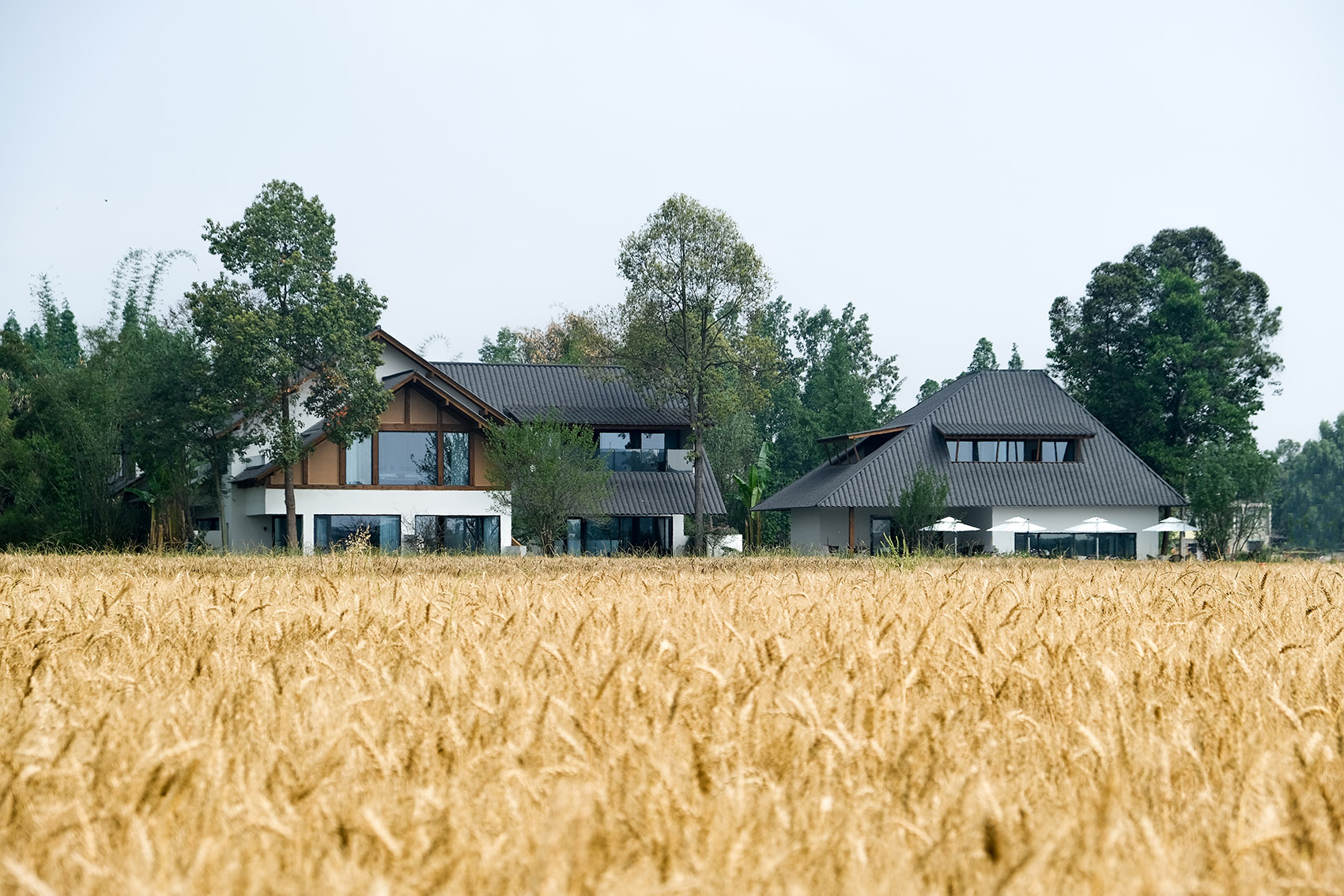 Xindu • Herbal Fragrant Cottage by Archermit - 谷德设计网