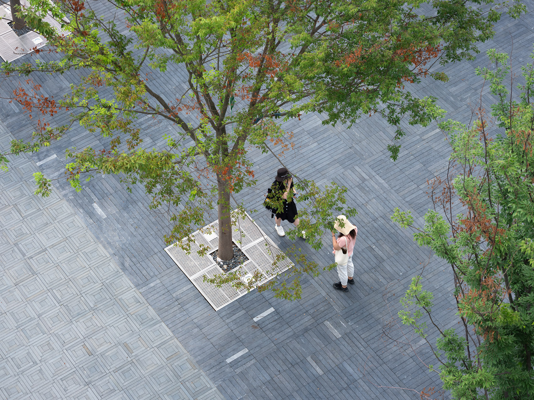 Suzhou Mountain Bilingual School Landscape by Z’scape - 谷德设计网