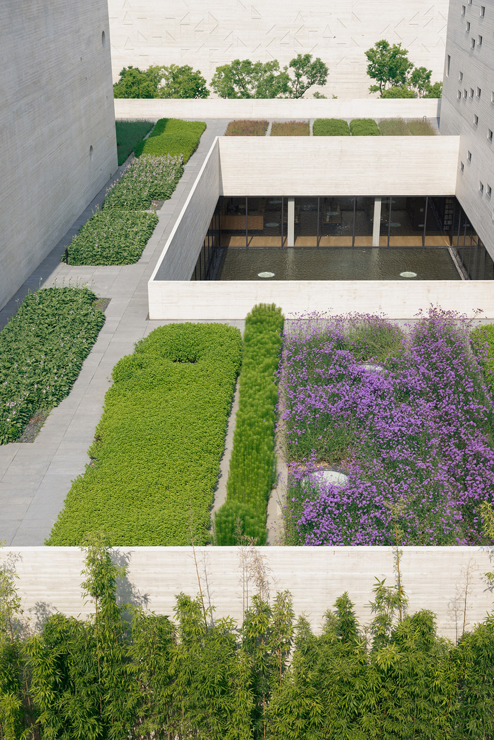 Suzhou Mountain Bilingual School Landscape by Z’scape - 谷德设计网