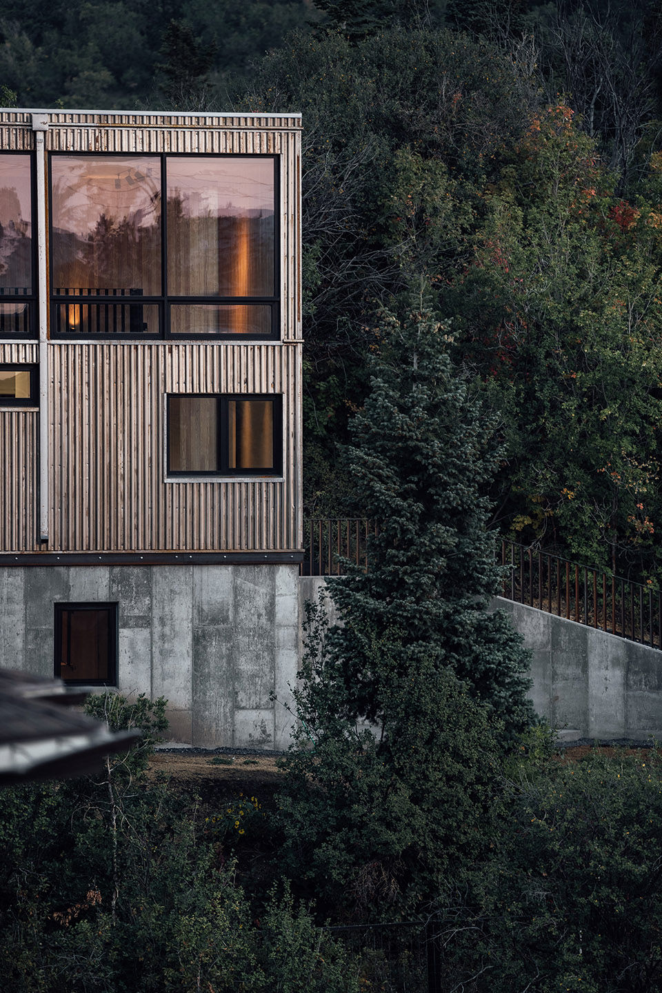 MapleHaus by KLIMA Architecture - 谷德设计网