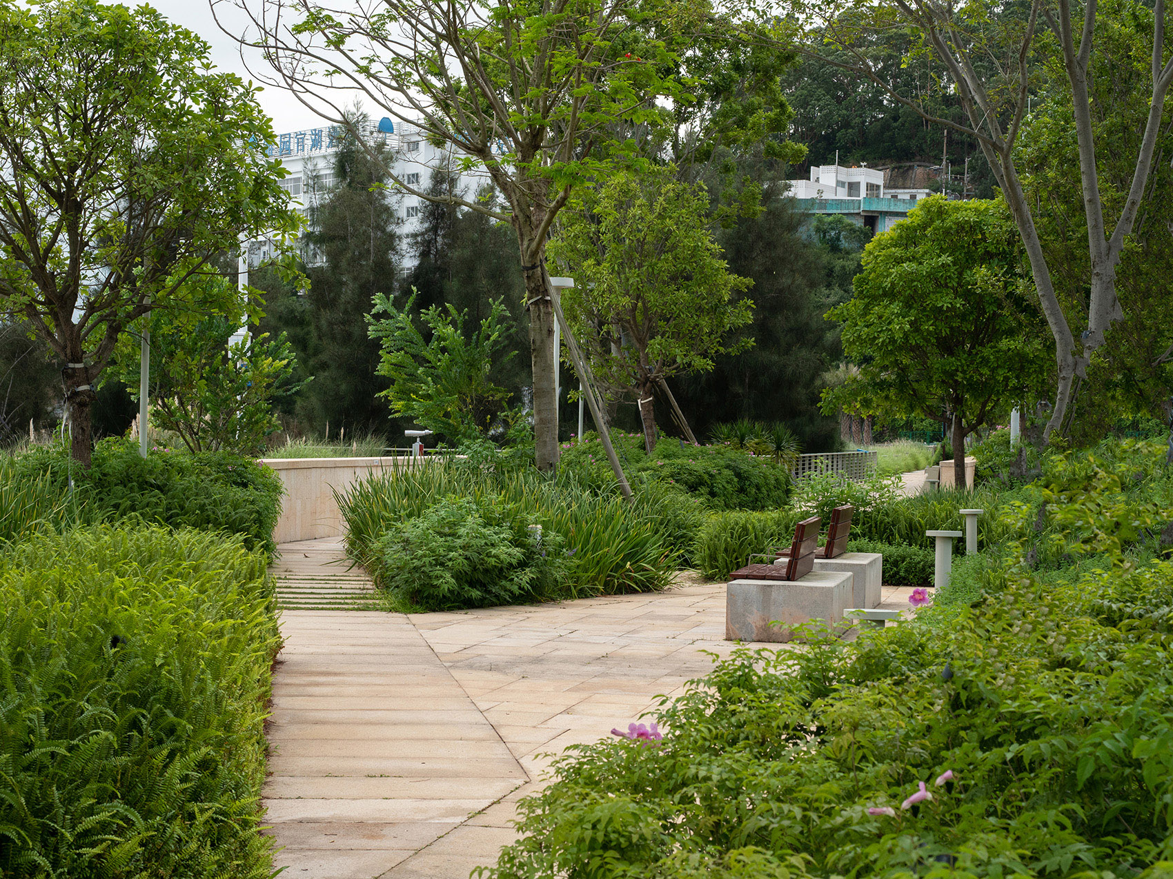 East Sea Dike Renovation Project (Phase III), Guanhu East Section by ...