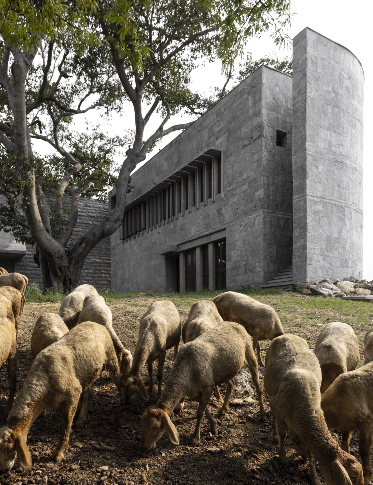 One Tree Hill by Samira Rathod Design Atelier - 谷德设计网