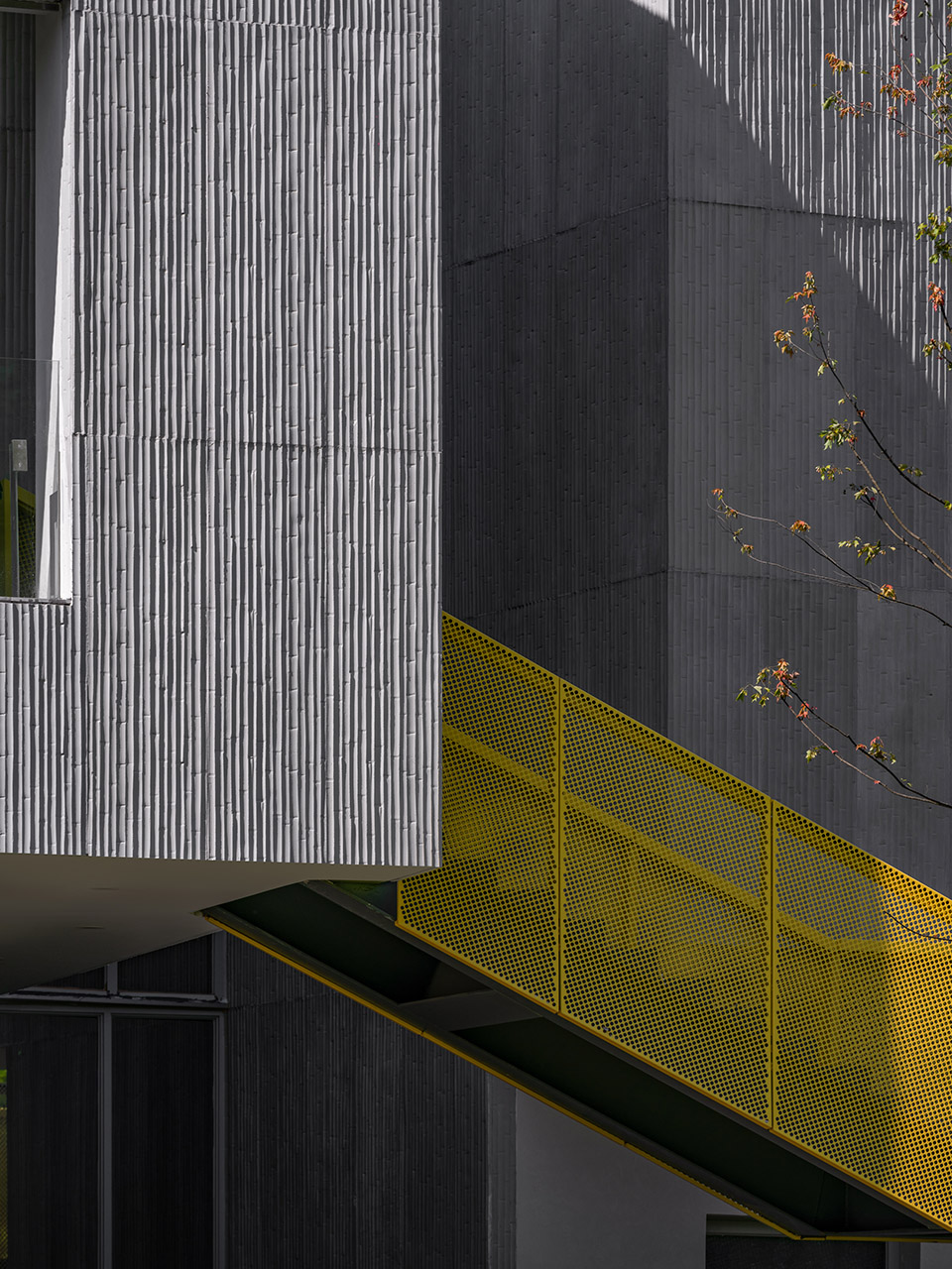 Zhejiang Green Rural Revival Program (Yucun) Pavilion by Du Chunyu team ...