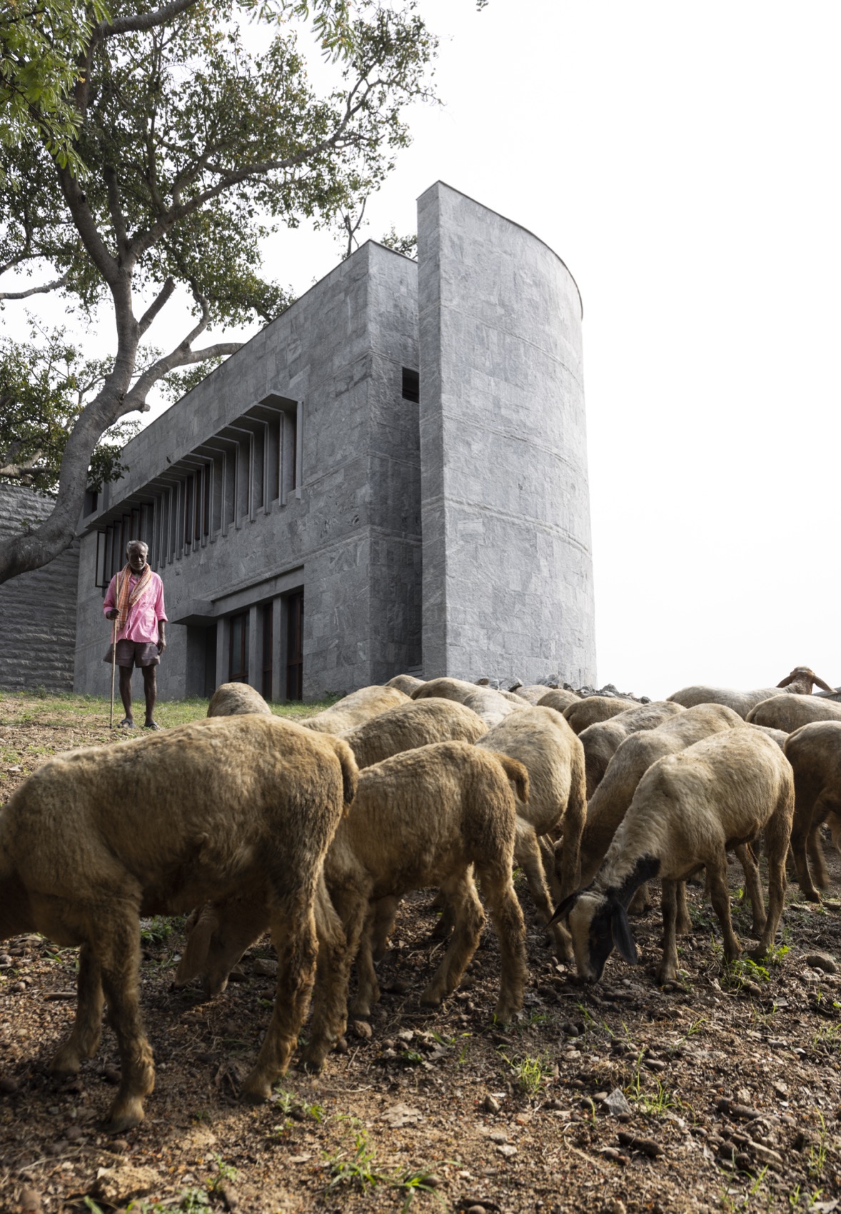 One Tree Hill by Samira Rathod Design Atelier - 谷德设计网