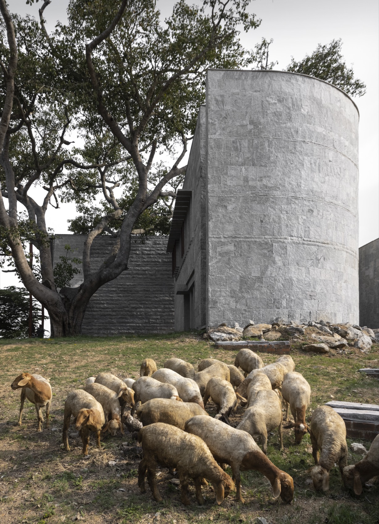 One Tree Hill by Samira Rathod Design Atelier - 谷德设计网