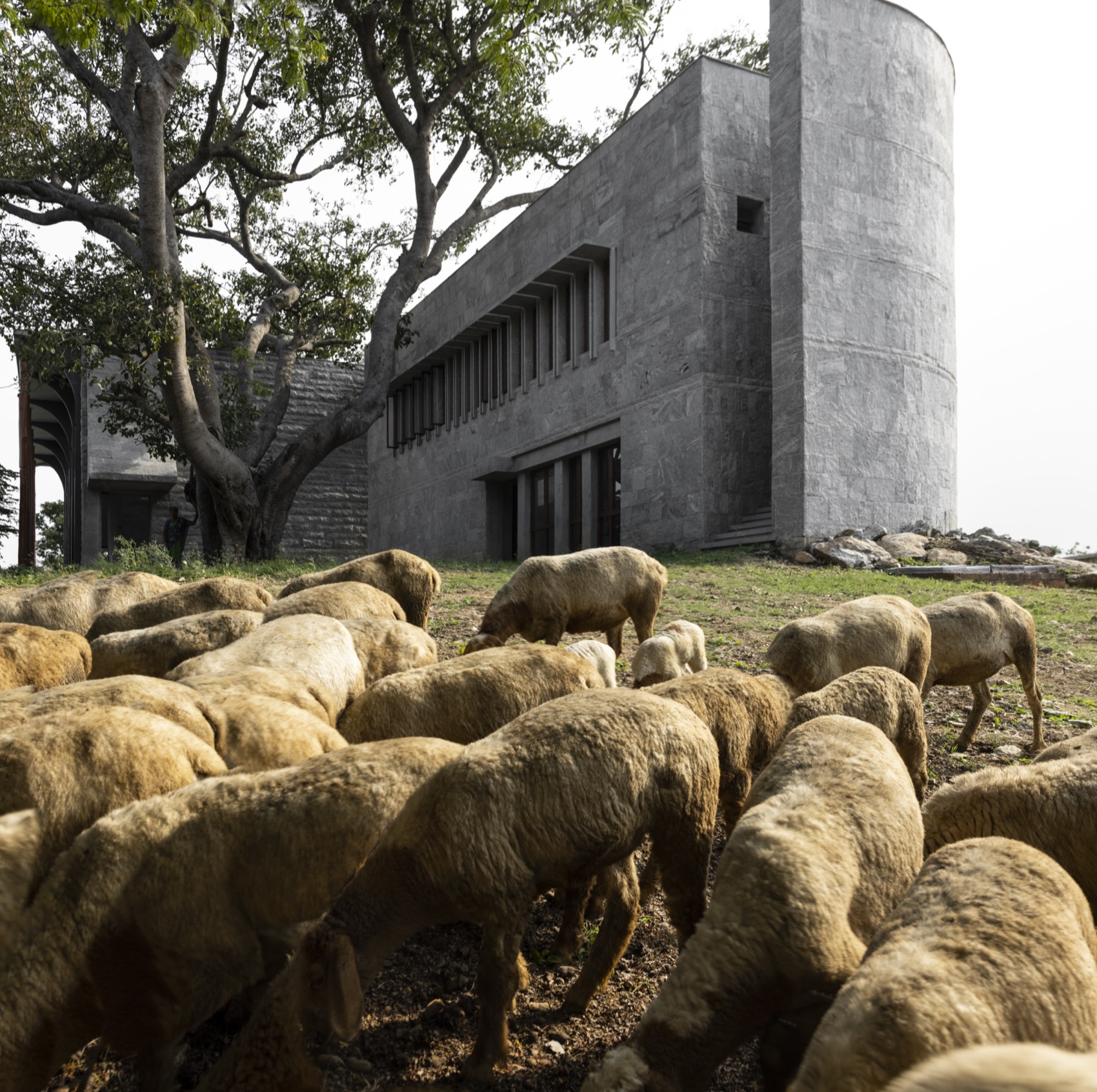 One Tree Hill by Samira Rathod Design Atelier - 谷德设计网